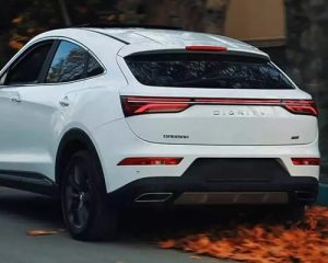 Bahman Motor : Introduction of products + photos - ACT